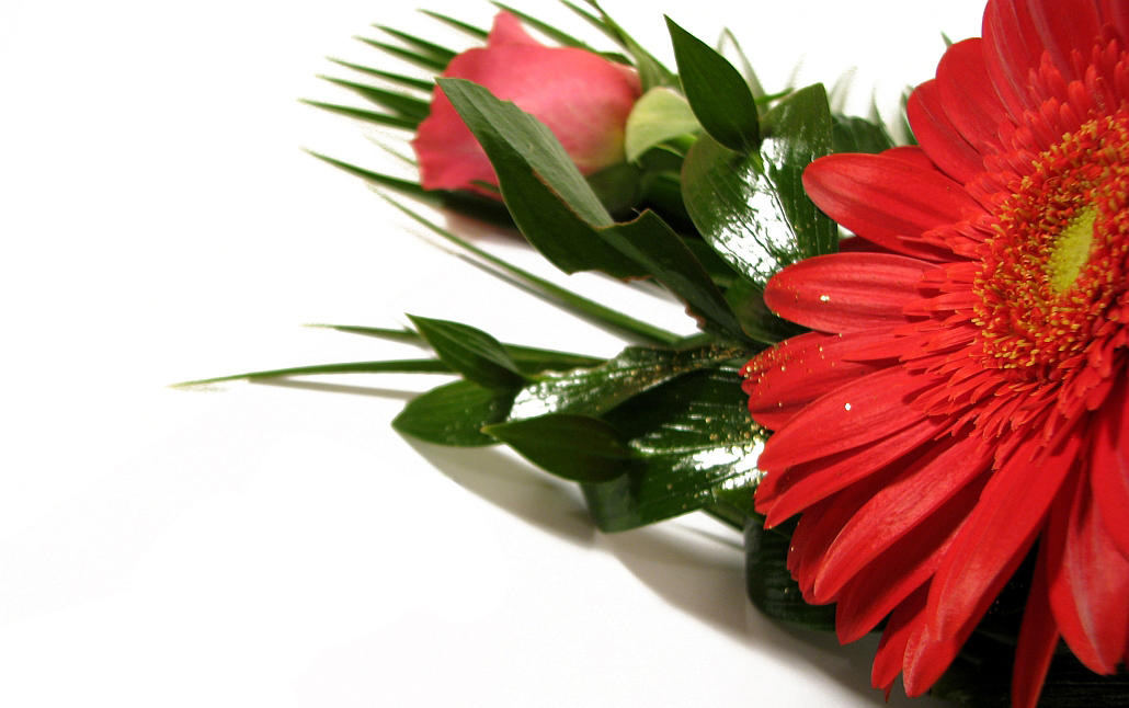 Beresford Company: 005